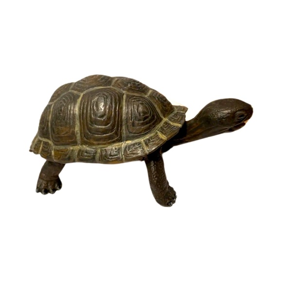 Toys | Galapagos Baby Tortoise Figure Toy 205 Safari Ltd Realistic 5 ...
